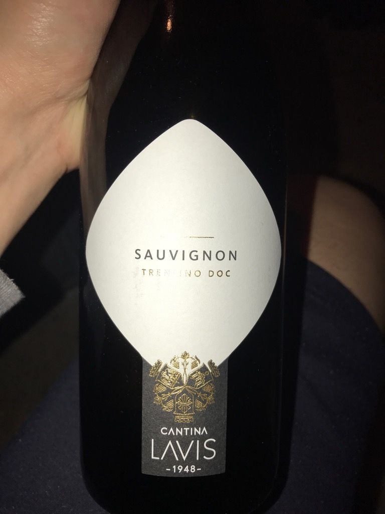 2020 La Vis Sauvignon Trentino, Italy, Trentino-Alto Adige, Trentino ...
