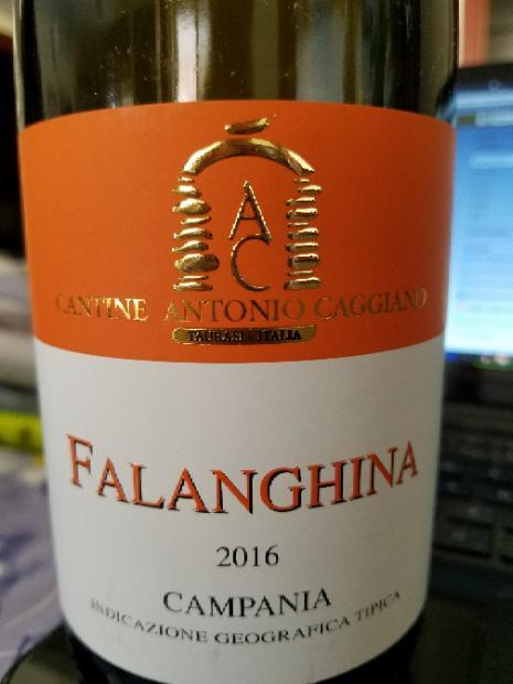 2013 Cantine Antonio Caggiano Falanghina Campania IGT, Italy, Campania ...