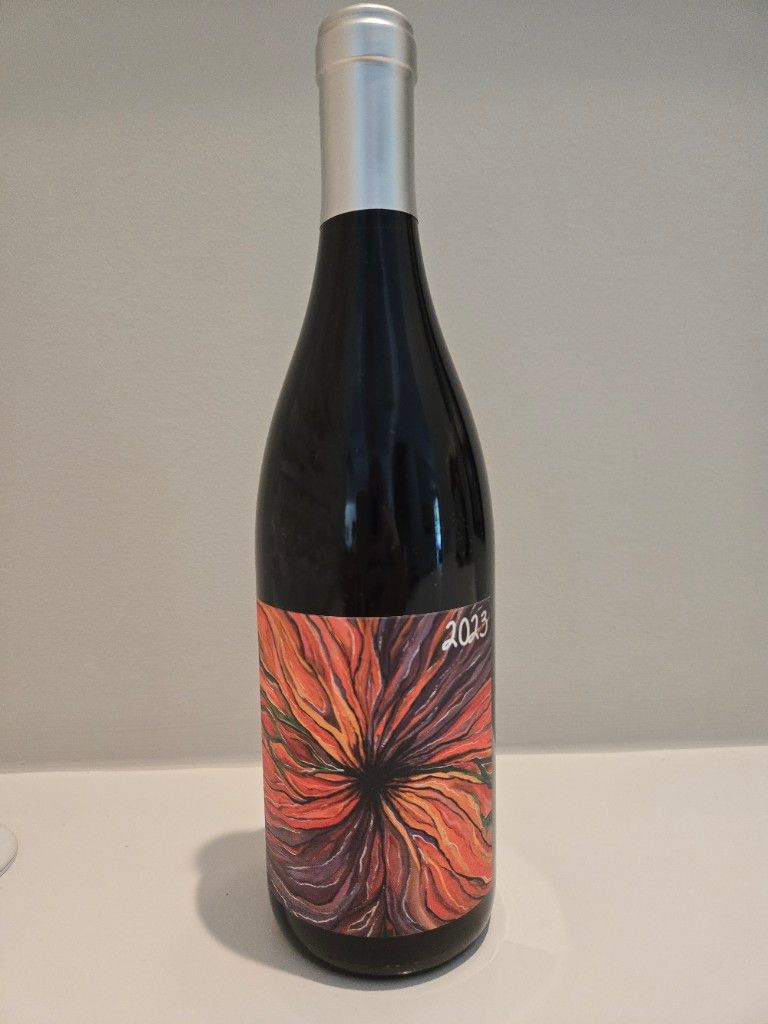 2023 Jacob Toft Syrah G2 Vineyard, USA, California, Central Coast, Paso ...