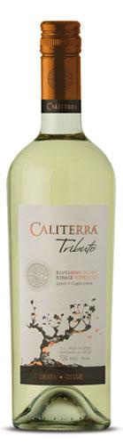 2010 Viña Caliterra Sauvignon Blanc Tributo Single Vineyard, Chile, San ...