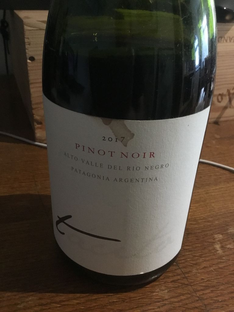 2020 Bodega Del Rio Elorza Pinot Noir Tacito, Argentina, Patagonia, Río ...