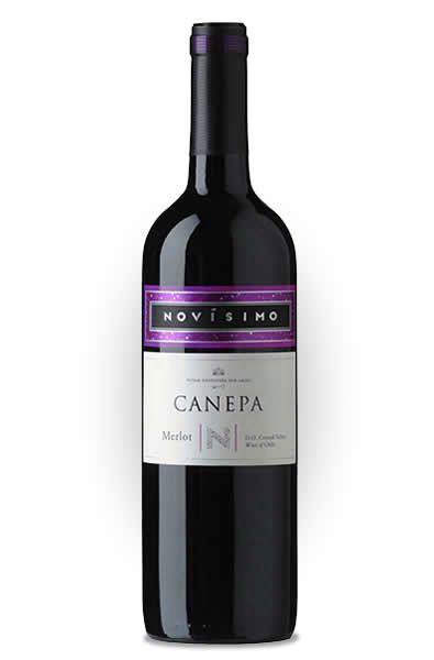 2009 Canepa Merlot Novísimo, Chile, Central Valley - CellarTracker
