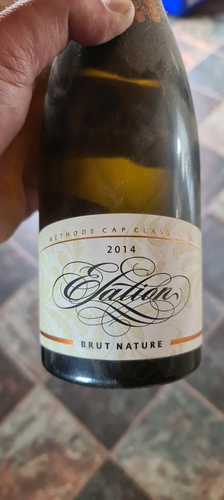 2014 Creation Wines Elation Rosé Brut Nature, South Africa, Cape South ...