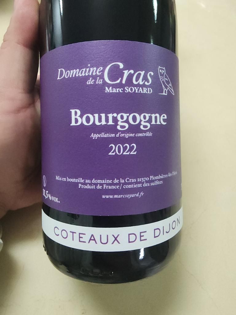2022 Domaine de la Cras (Marc Soyard) Bourgogne Coteaux de Dijon ...