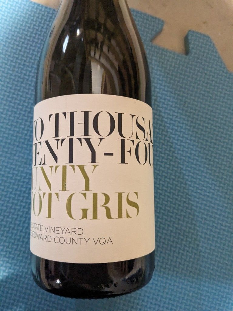 2024 Morandin Wines Pinot Gris County Sangreal Estate Vineyard, Canada ...