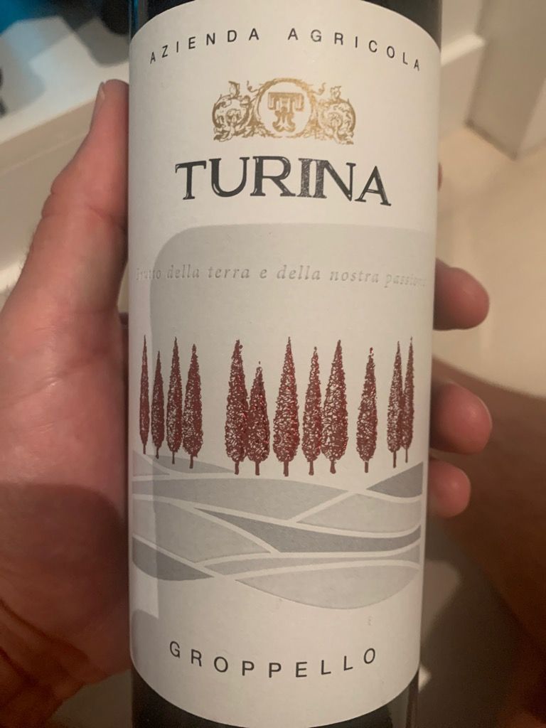 2020 Turina Groppello Lugana, Italy, Lombardia / Veneto, Lugana ...