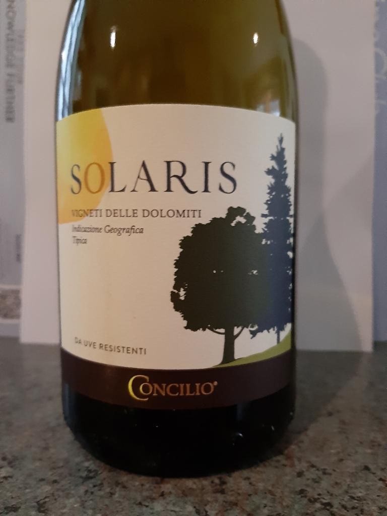 2021 Concilio Solaris, Italy, Trentino Alto-Adige / Veneto, Vigneti ...