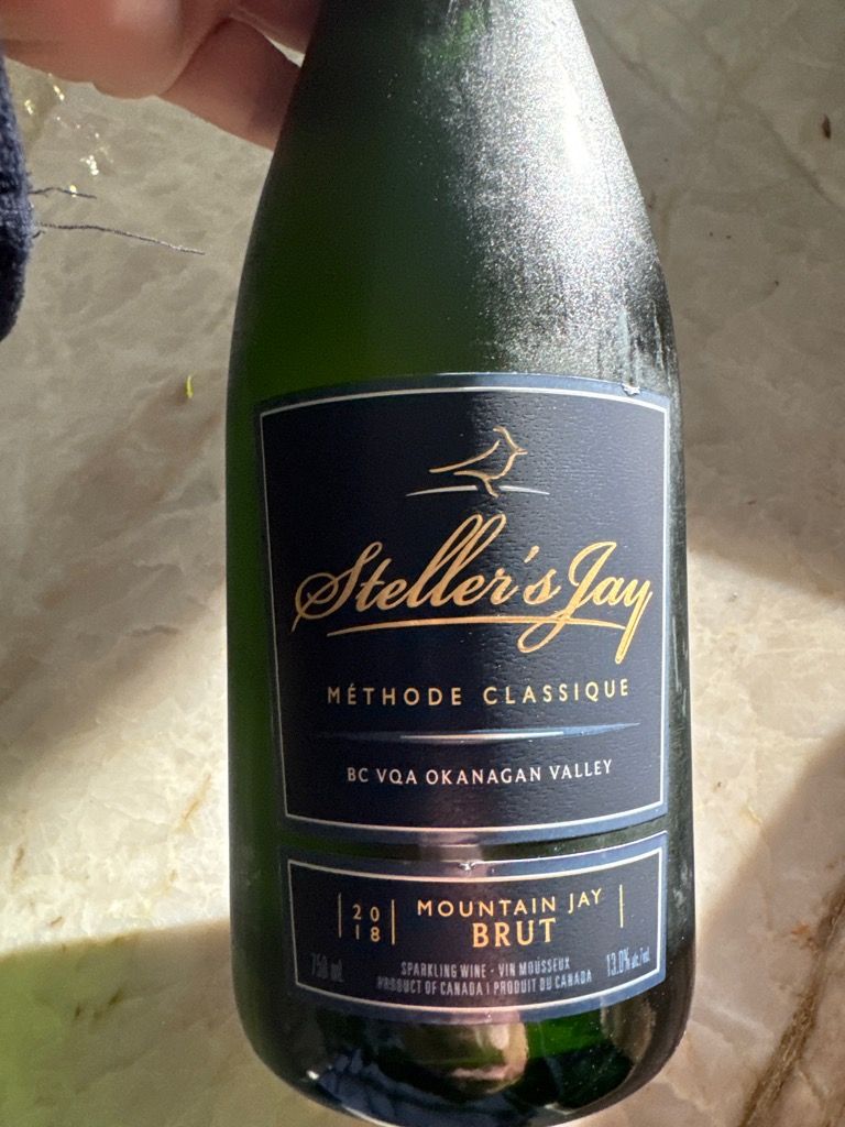 2018 Steller’s Jay Mountain Jay Brut, Canada, British Columbia ...