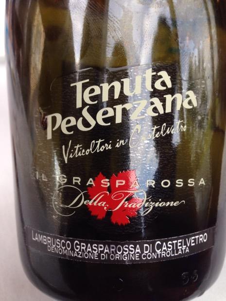 2015 Tenuta Pederzana Lambrusco Grasparossa di Castelvetro Il ...