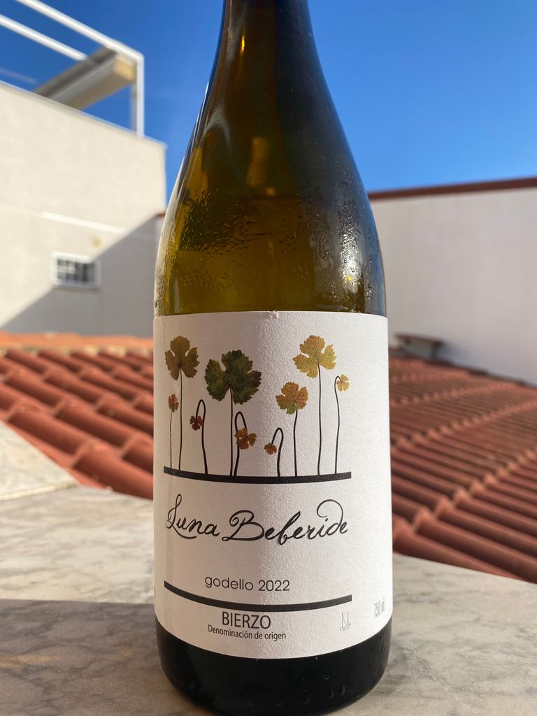 2022 Luna Beberide Godello Bierzo, Spain, Castilla y León, Bierzo ...