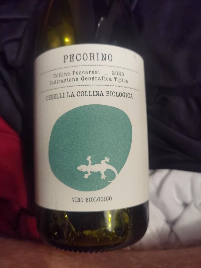 2020 Cirelli Pecorino Colline Pescaresi IGT, Italy, Abruzzi, Colline ...