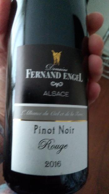 2013 Domaine Fernand Engel Pinot Noir, France, Alsace - CellarTracker