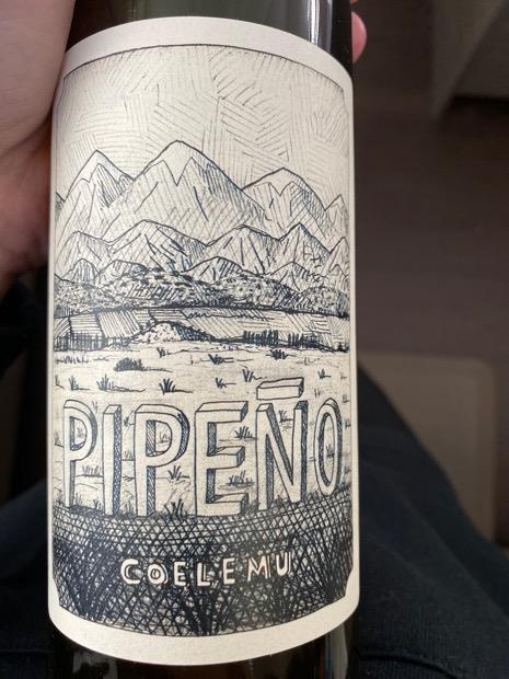 2014 Louis-Antoine Luyt País Pipeño Coelemu, Chile, Itata Valley ...