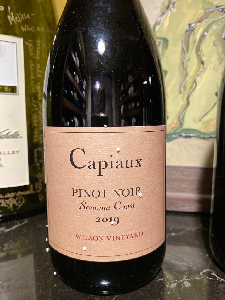 2019 Capiaux Cellars Pinot Noir Wilson Vineyard, USA, California ...