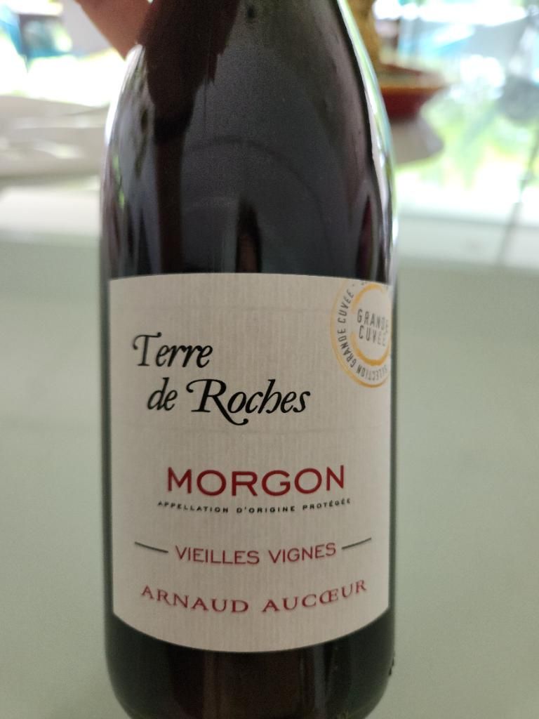 2020 Domaine Arnaud Aucoeur Morgon Vieilles Vignes Terre des Roches, France, Burgundy ...