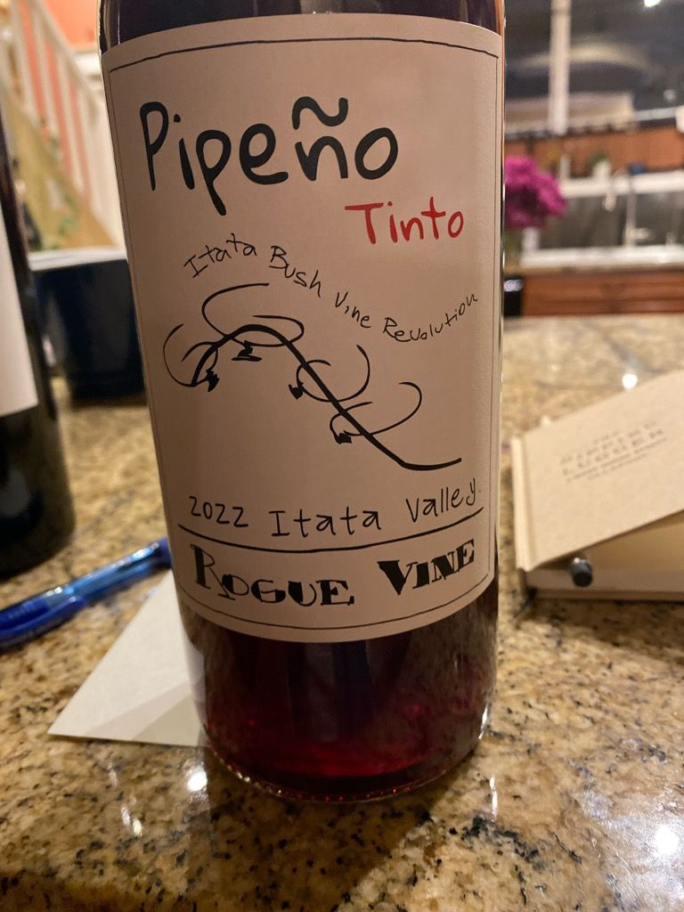 2022 Rogue Vine Cinsault Grand Itata, Chile, Itata Valley - CellarTracker