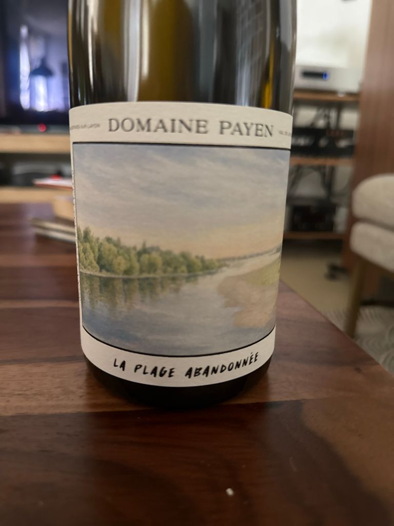 2023 Domaine Payen Savennières La Plage Abandonnée, France, Loire ...