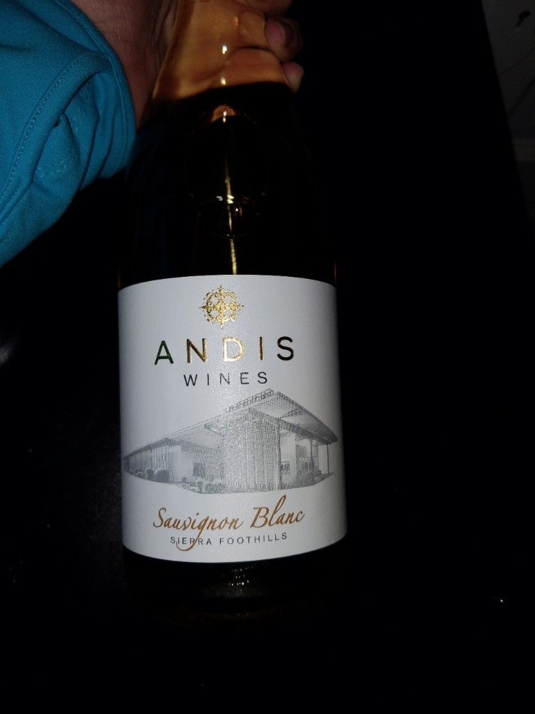 2020 Andis Wines Sauvignon Blanc, USA, California, Sierra Foothills ...