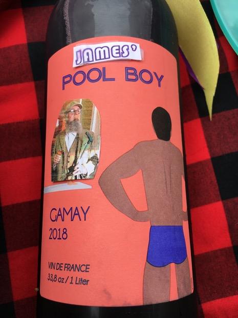 2018 Pool Boy Gamay, France, Vin de France - CellarTracker