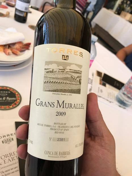 2009 Torres Conca de Barberà Grans Muralles, Spain, Catalunya, Tarragona, Conca de Barberà ...