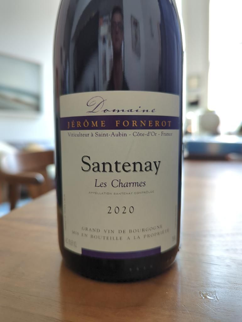 2021 Jérome Fornerot Santenay Les Charmes, France, Burgundy, Côte de ...
