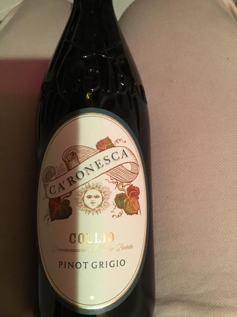 2011 Ca' Ronesca Collio Pinot Grigio, Italy, Friuli-Venezia Giulia ...