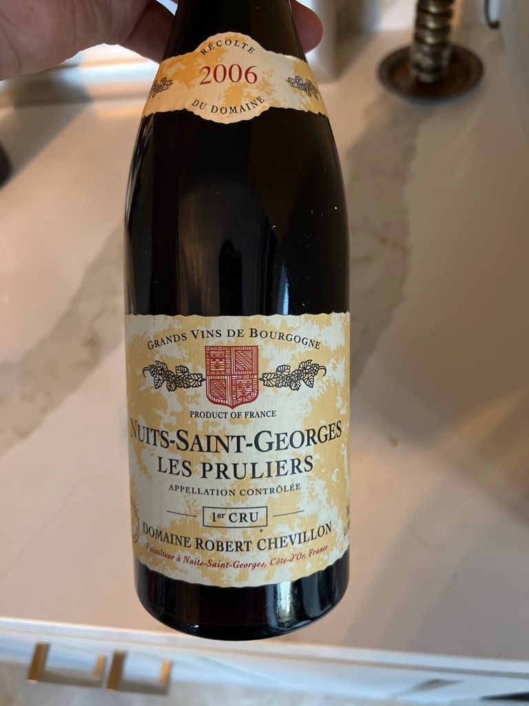 2006 Domaine Robert Chevillon Nuits-Saint-Georges 1er Cru Les Pruliers ...