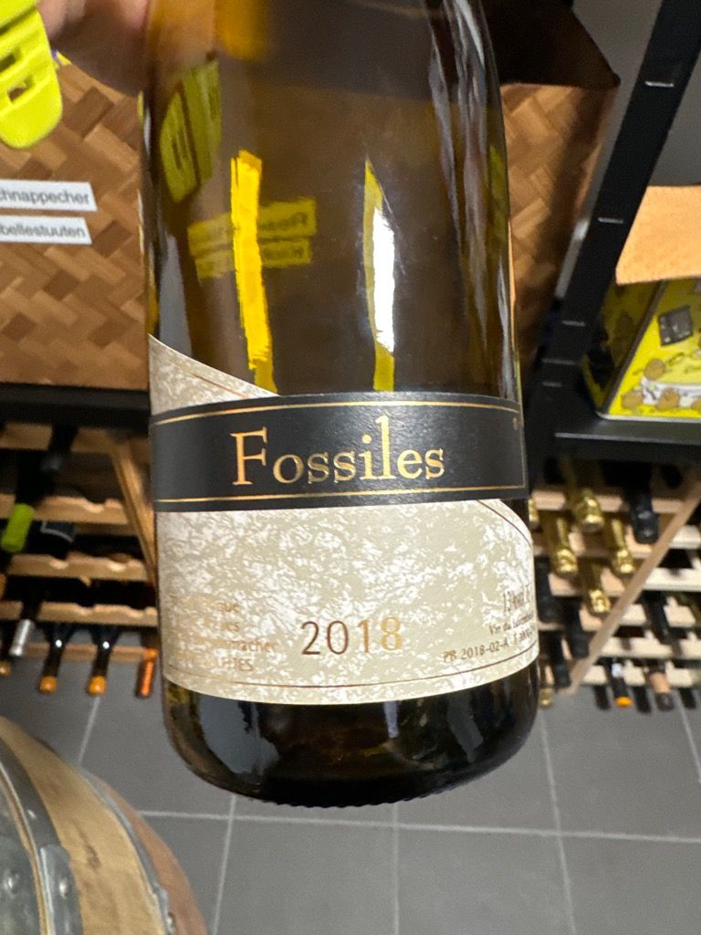 2018 Caves Albert Duhr (Château Pauqué) Fossiles, Luxembourg, Moselle ...