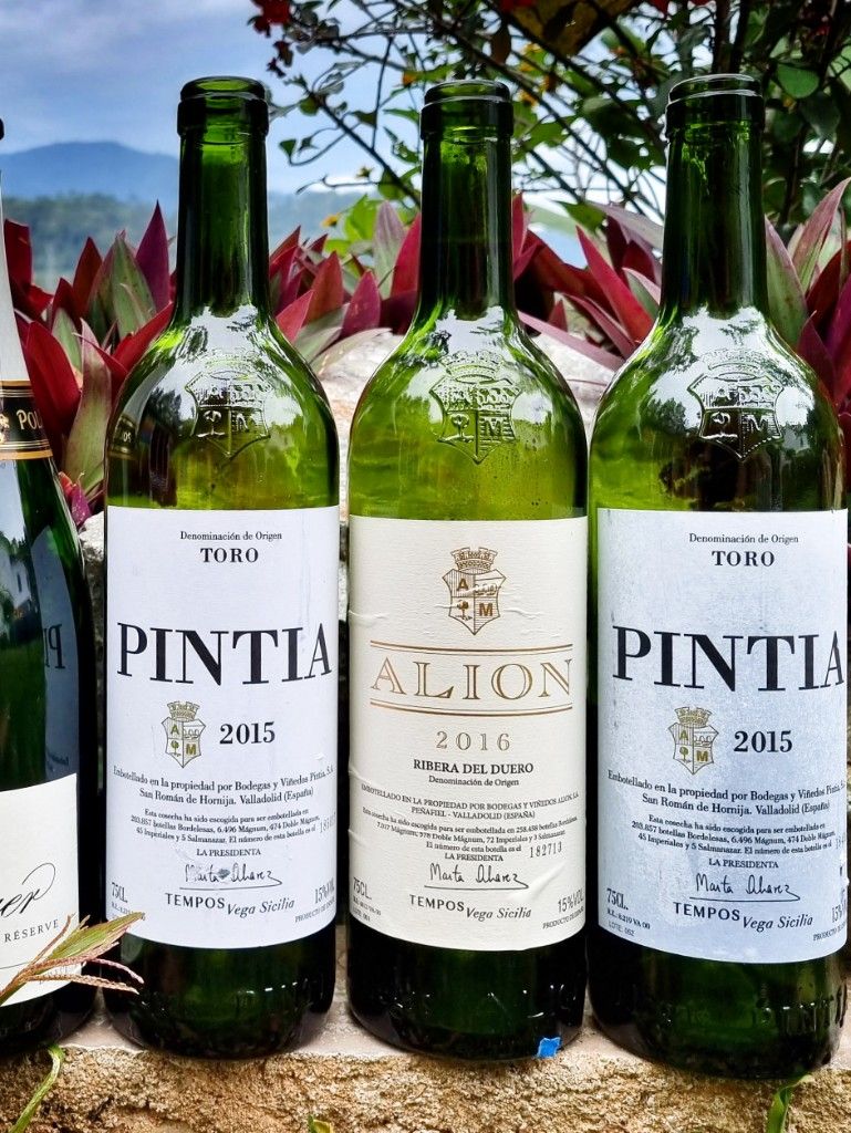 2015 Bodegas Pintia Toro Pintia, Spain, Castilla y León, Toro ...