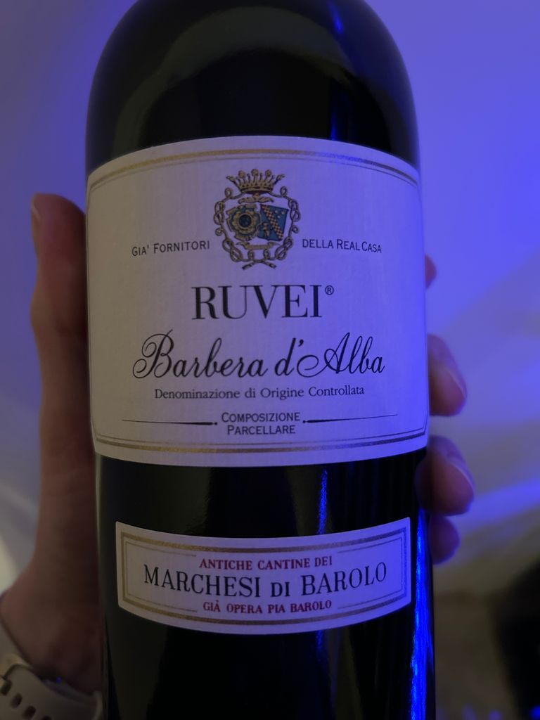 2021 Marchesi di Barolo Barbera d'Alba Ruvei, Italy, Piedmont, Alba ...