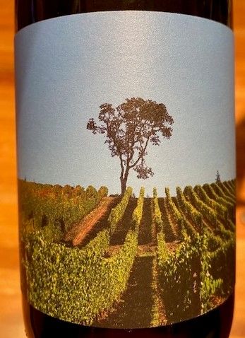 2021 Fly Rod Cellars Pinot Noir Plastic Surgeon Erratic Oaks Vineyard ...