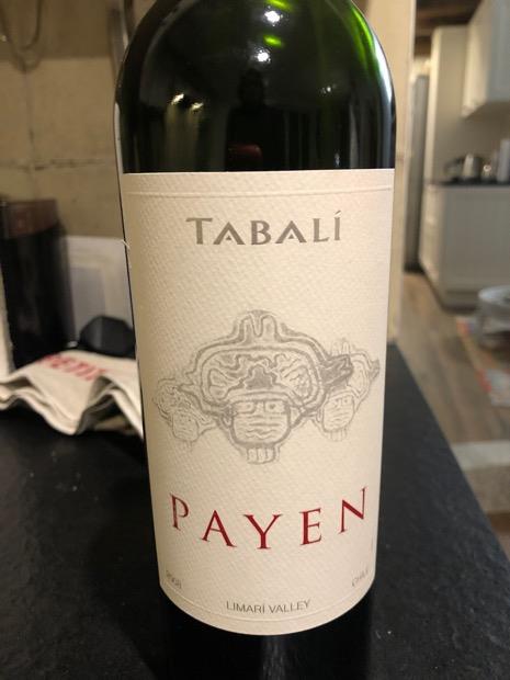 2008 Tabalí Syrah Payen, Chile, Limarí Valley - CellarTracker