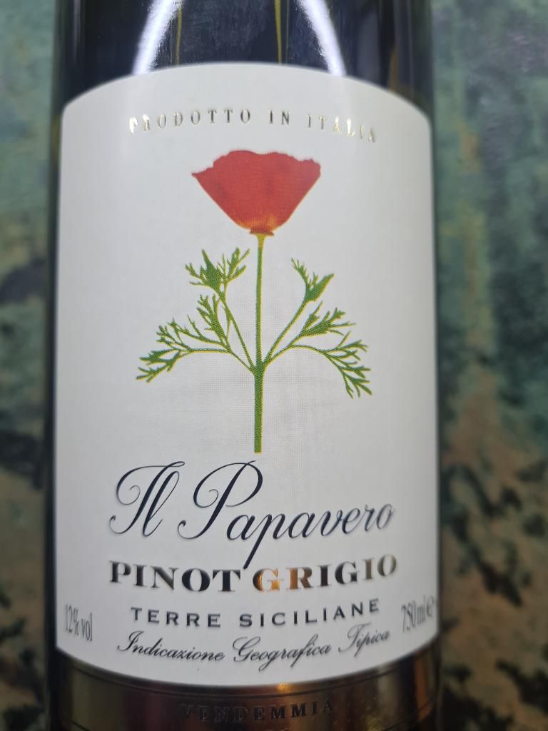 2021 Il Papavero Pinot Grigio, Italy, Sicily, Sicilia - CellarTracker