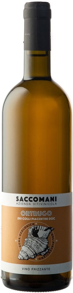 2020 Saccomani Colli Piacentini Vino Frizzante Secco, Italy, Emilia ...