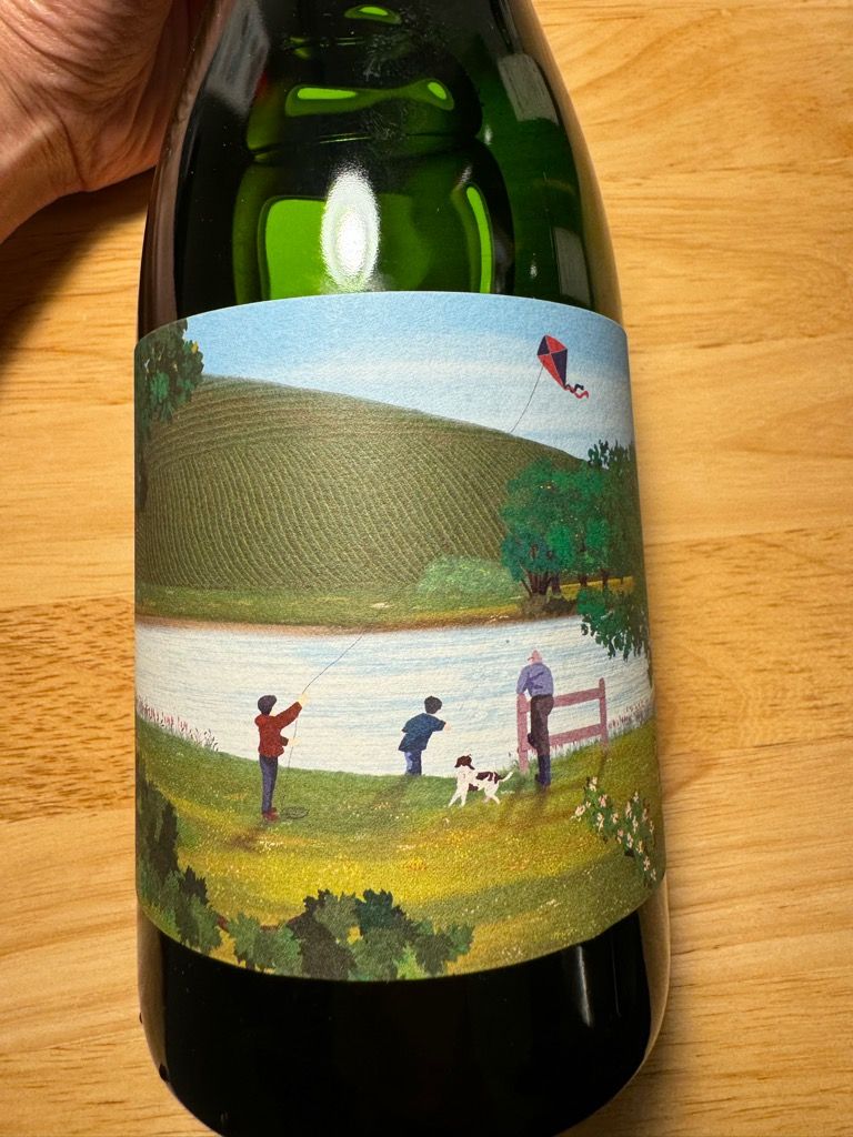 NV Pascal Henin Champagne Grand Cru L'étang de nos souvenirs, France ...