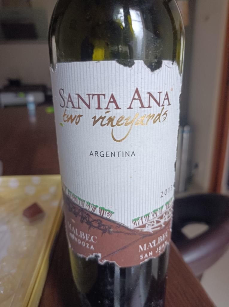 2013 Bodegas Santa Ana Malbec Two Vineyards, Argentina, Mendoza ...