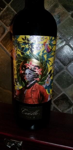 2017 Cooper's Hawk Camille Brave, USA, California, Sonoma County ...