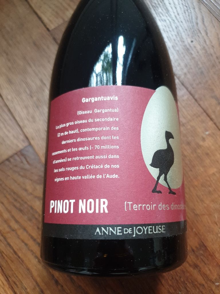 2024 Anne de Joyeuse Pinot Noir Gargantuavis, France, Languedoc ...