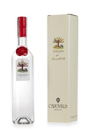2016 Capovilla Grappa, Italy, Veneto, Valpolicella, Amarone della ...