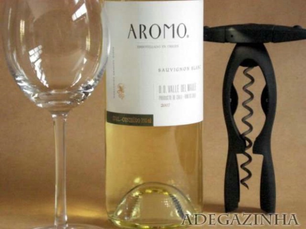 2008 Viña El Aromo Sauvignon Blanc, Chile, Maule Valley - CellarTracker