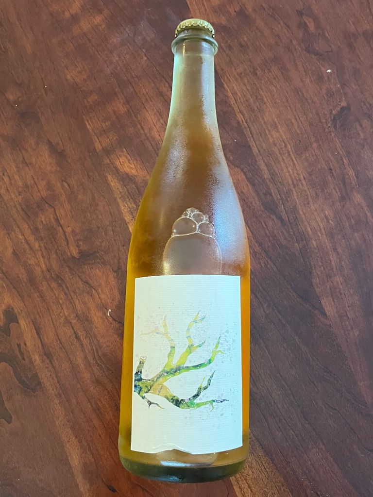 2021 Open Spaces Early and Wild Petillant Cider, USA, New York, Finger ...
