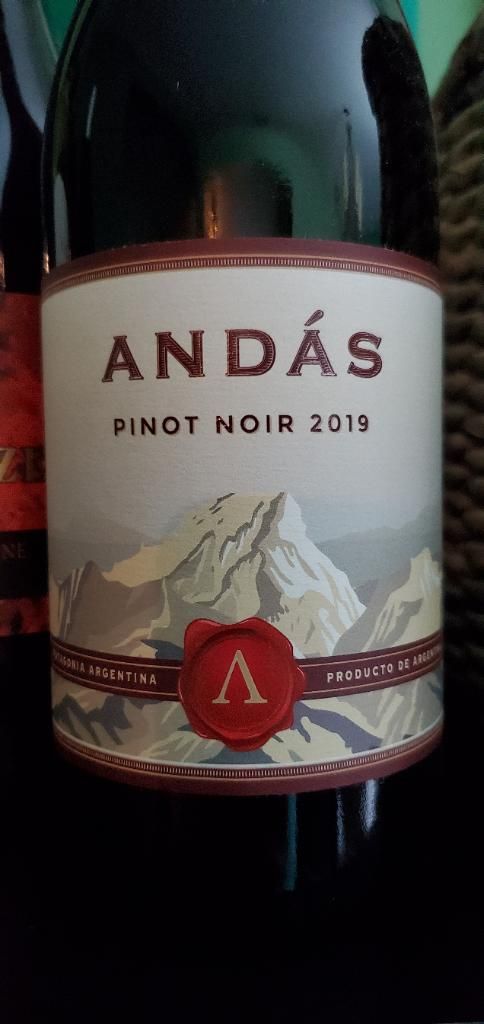 2019 Andas Pinot Noir, Argentina - CellarTracker