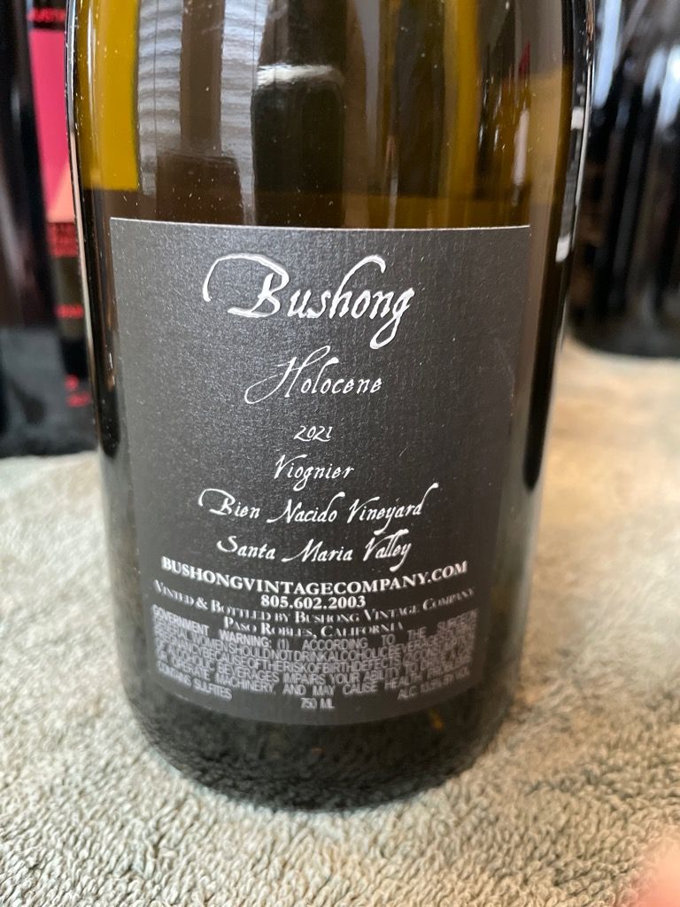2022 Bushong Sauvignon Blanc Holocene, USA, California, Central Coast ...