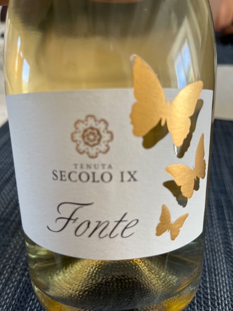 NV Tenuta Secolo IX Abruzzo Fonte Vino Spumante Brut, Italy, Abruzzi ...