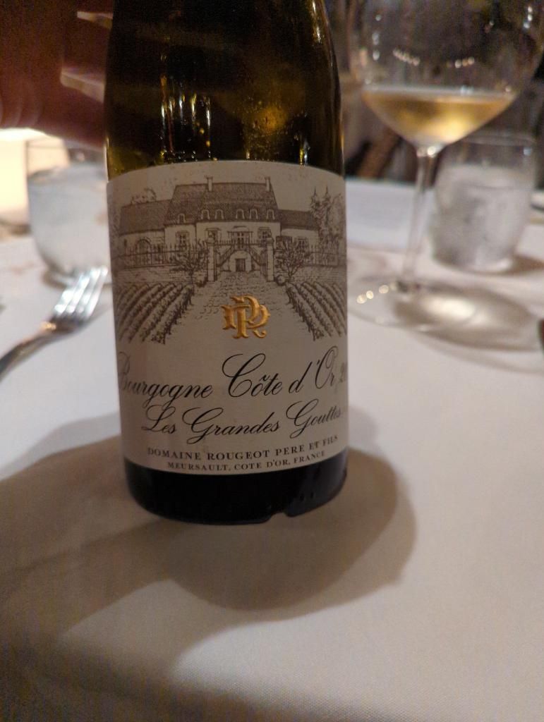 2020 Domaine Rougeot Bourgogne Côte d'Or Les Grandes Gouttes, France ...