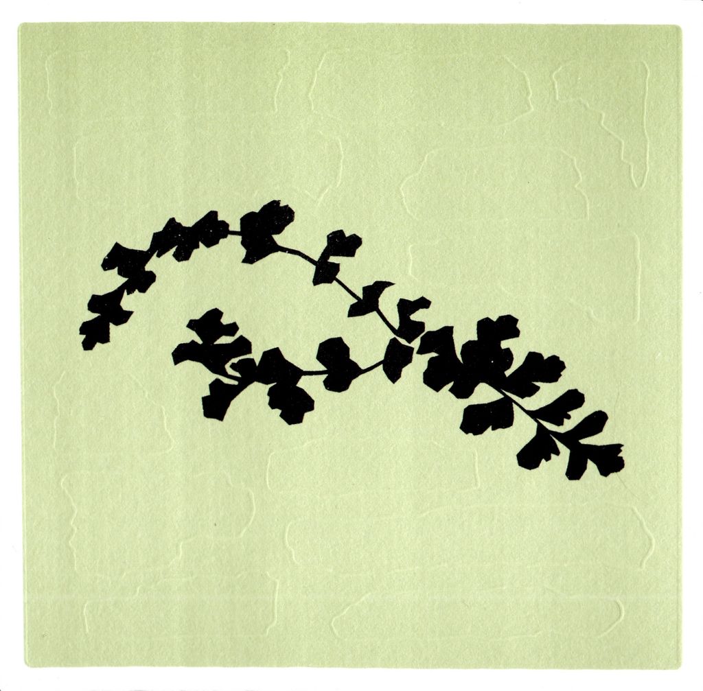 2024 Bulman Grenache Dry Red Glen's Vineyard, Australia, South ...