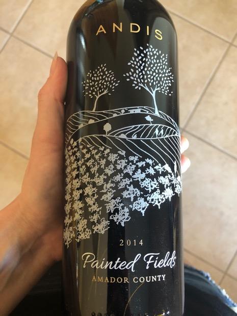 2014 Andis Wines Painted Fields, USA, California, Sierra Foothills ...