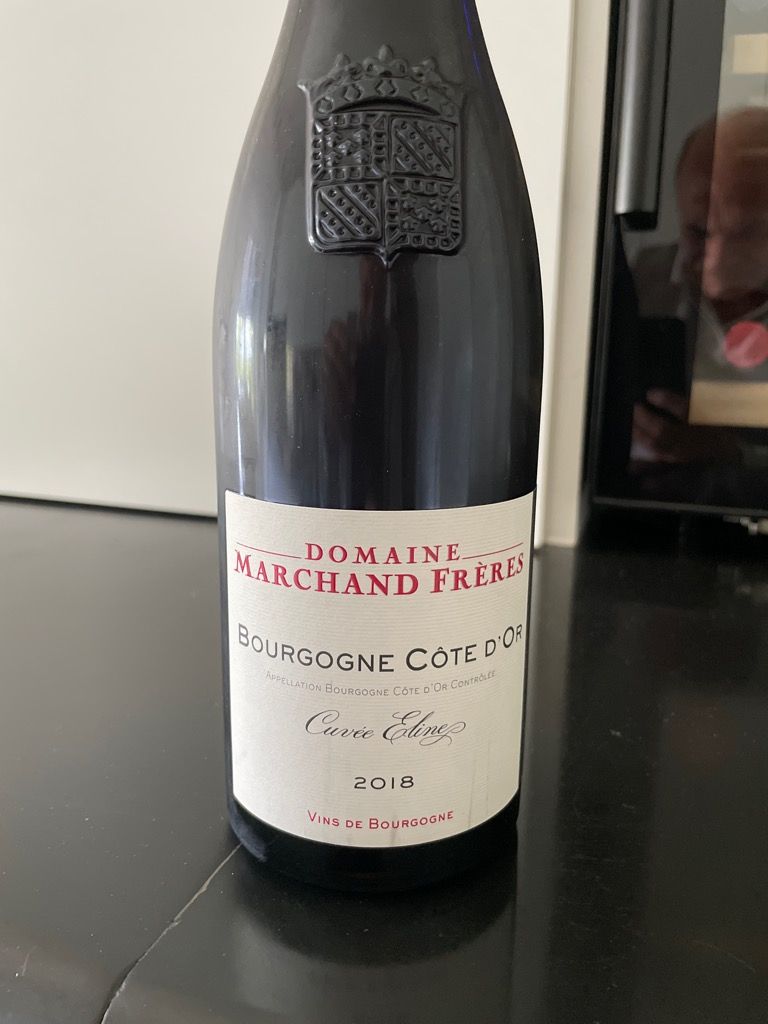 2019 Domaine Marchand Freres Bourgogne Hautes-Côtes de Nuits, France ...