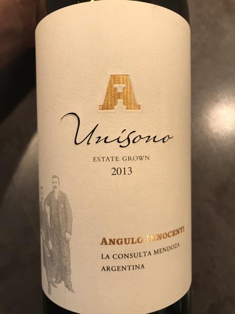 2013 Angulo Innocenti Unisono, Argentina, Mendoza, Valle de Uco, La ...