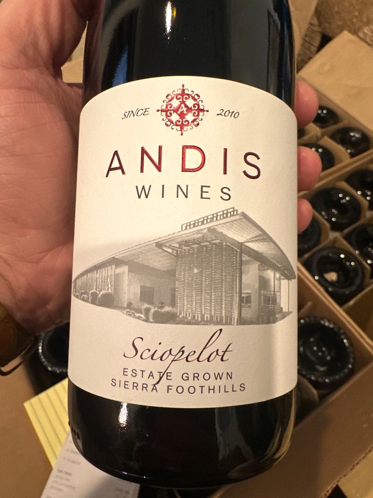 2022 Andis Wines Sciopelot, USA, California, Sierra Foothills ...